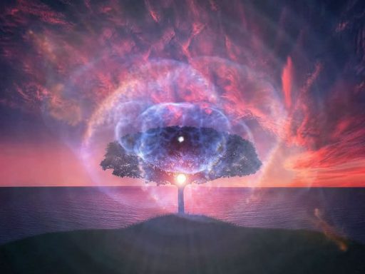 El mundo interior es un campo fértil: ideas para cultivarlo | Bicaalú