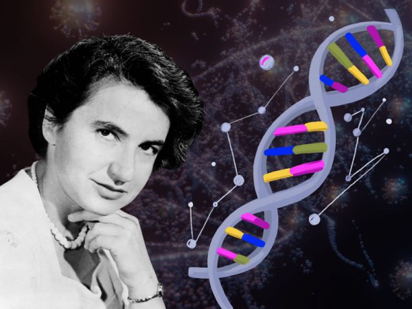 La doble hélice de Rosalind Franklin: ¿el ADN fue descubierto por una ...